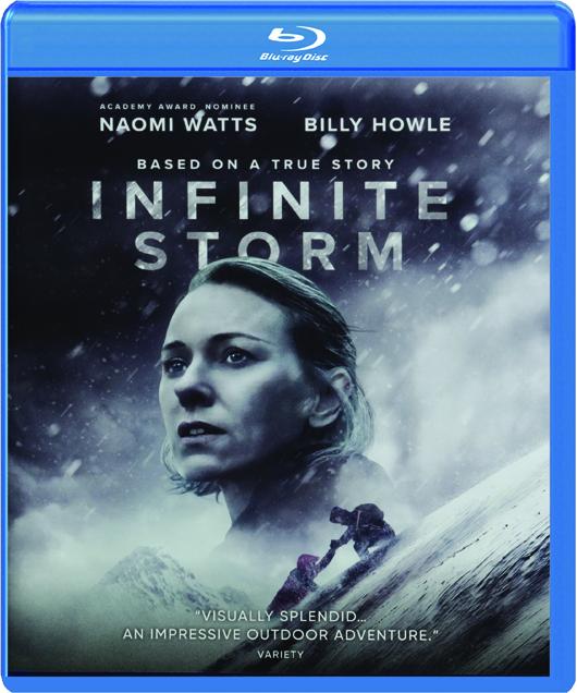 INFINITE STORM - HamiltonBook.com