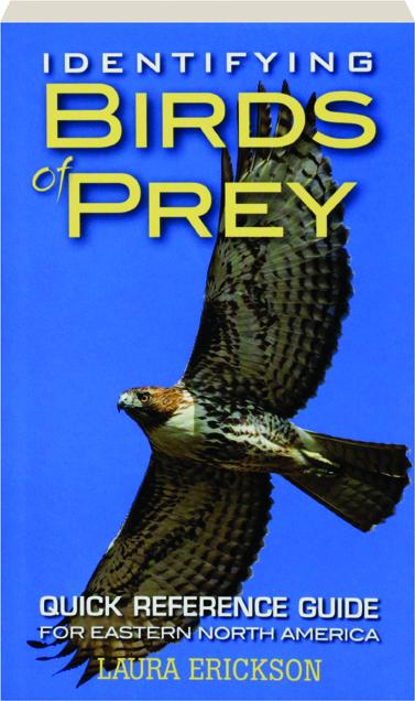 North American Birds Of Prey Identification