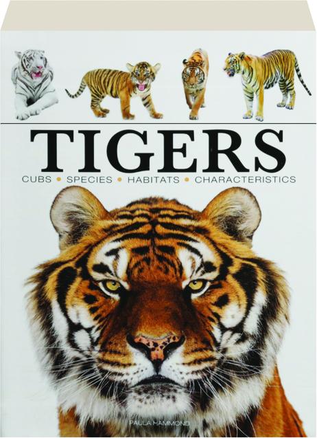 Tiger Subspecies