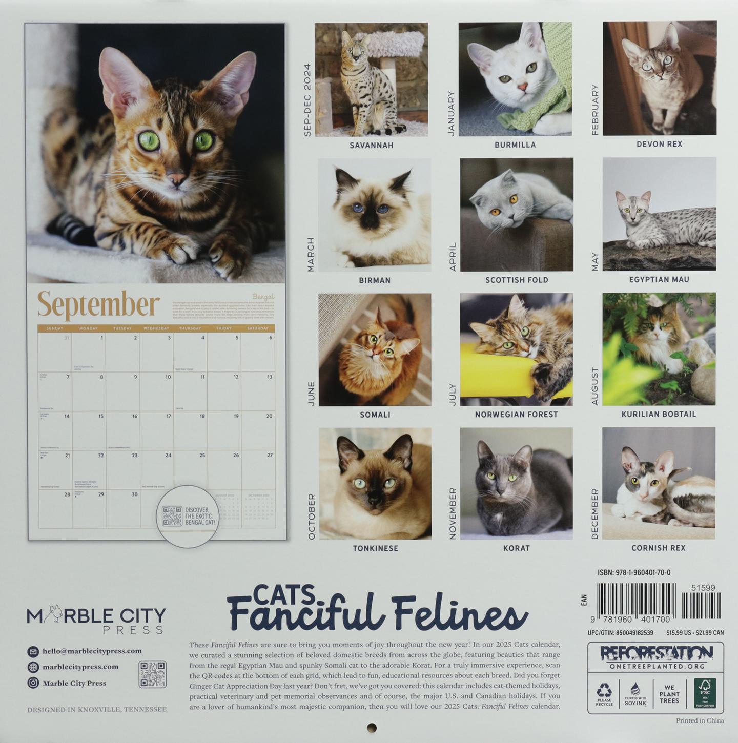 2025 CATS FANCIFUL FELINES CALENDAR - HamiltonBook.com