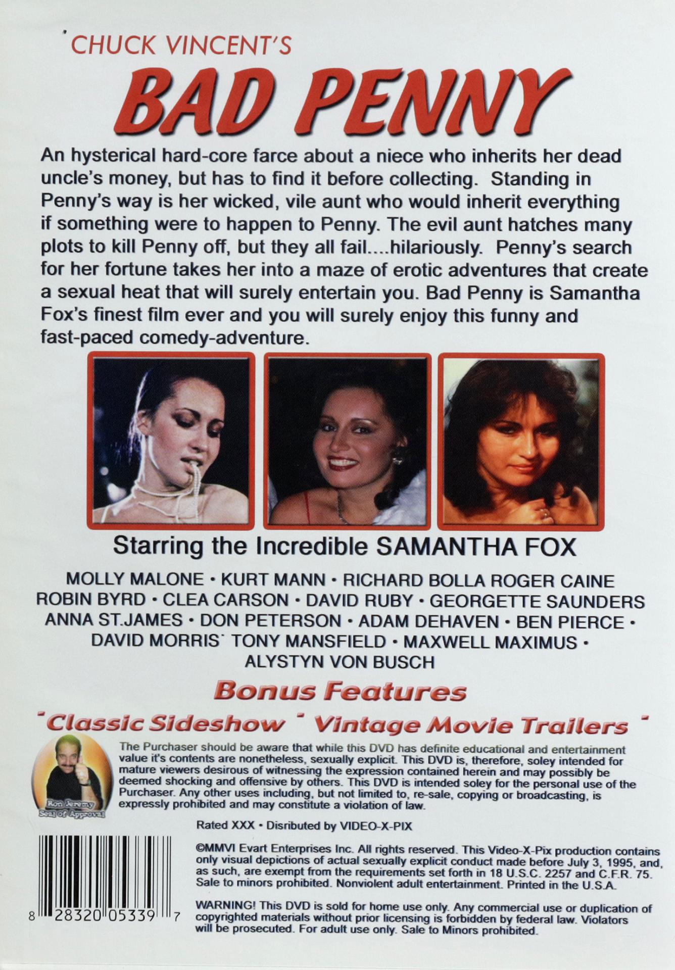 CHUCK VINCENT'S BAD PENNY - HamiltonBook.com